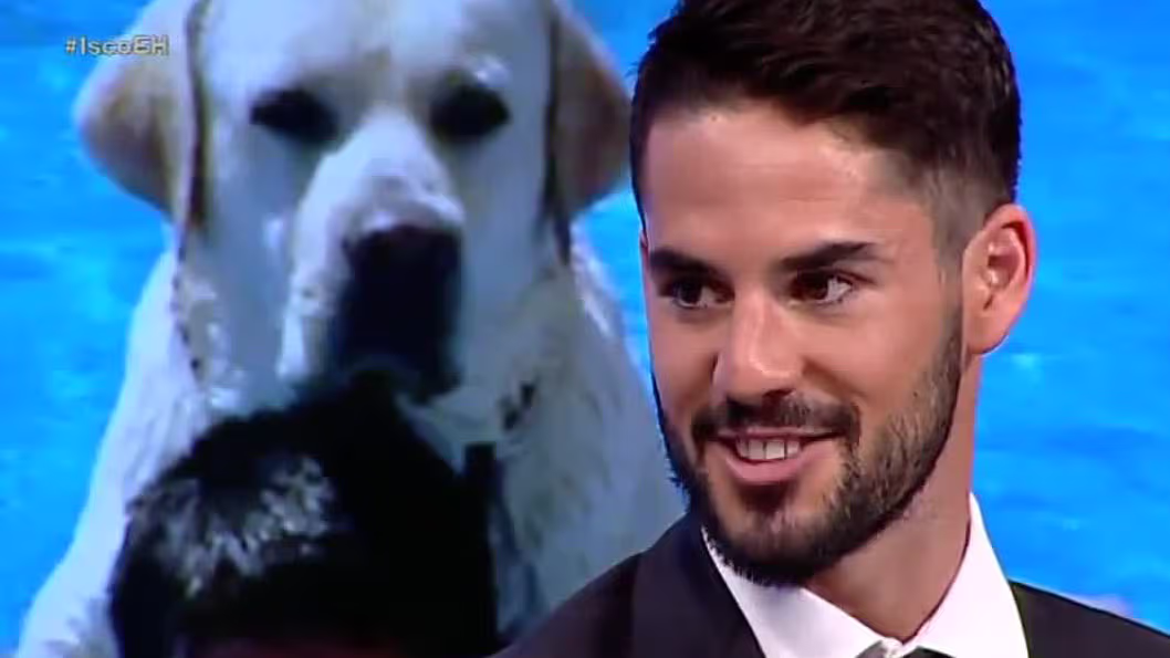 Increíble: Isco tiene un perro y se llama como una de las estrellas del ...