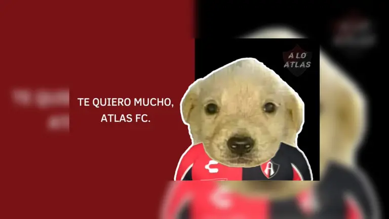 Atlas se convierte en campeón de la Liga MX y llueven memes | TUDN Liga ...