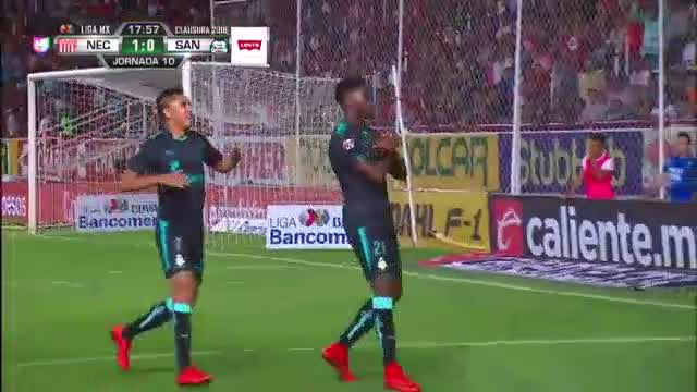 ¡Djaniny Tavares marca y hace su gol 12 en el torneo! | TUDN Liga MX | TUDN