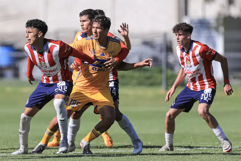 Guadalajara vs Tigres: Últimas noticias, videos y fotos de Guadalajara ...