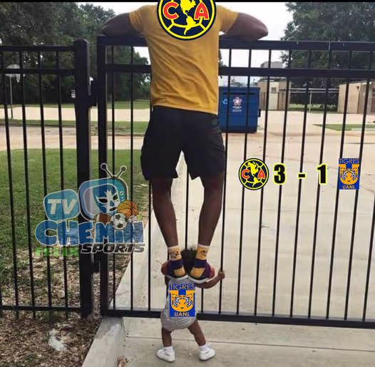 Tigres es sepultado por los memes tras su derrota frente al América ...