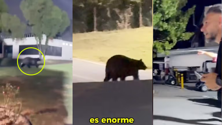 Martín Demichelis es sorprendido en su casa con inesperada visita de un ...